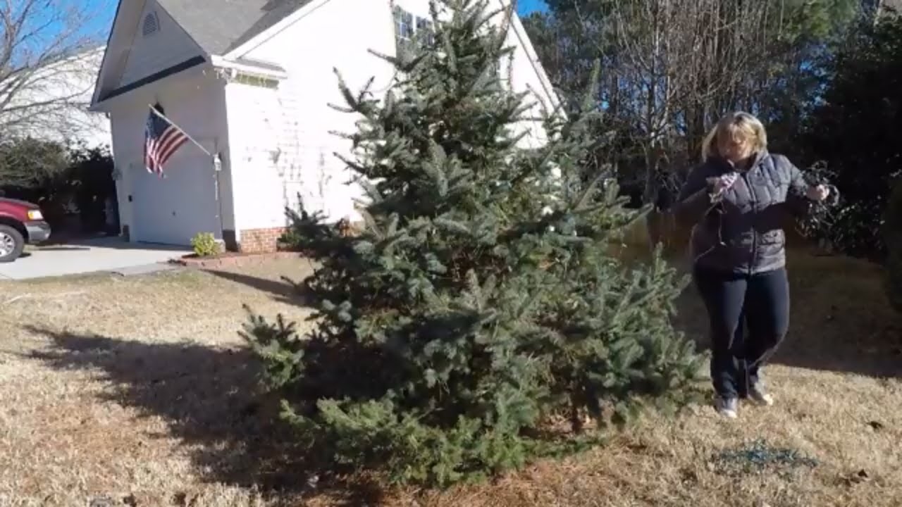 Taking Down The Christmas Tree And Christmas Decorations - YouTube