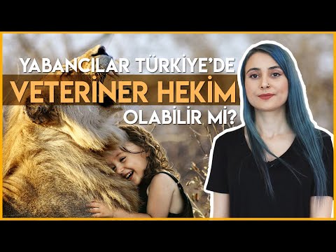 Yabancılar Türkiye'de Veteriner Hekim Olabilir Mi?