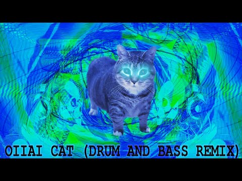 SERTEO - OIIAOIIA CAT (Drum and Bass Remix)  Visual