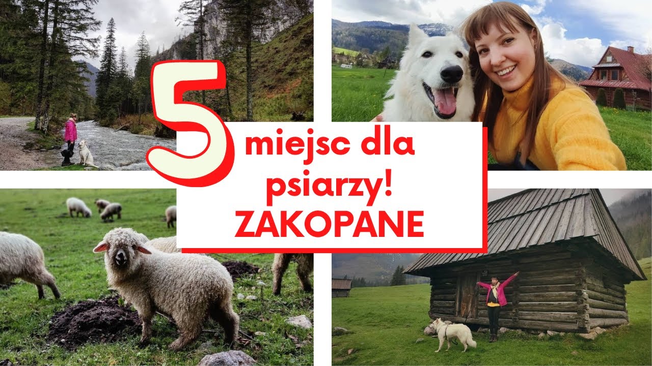 Zakopane z psem - 5 ciekawych miejsc! - YouTube