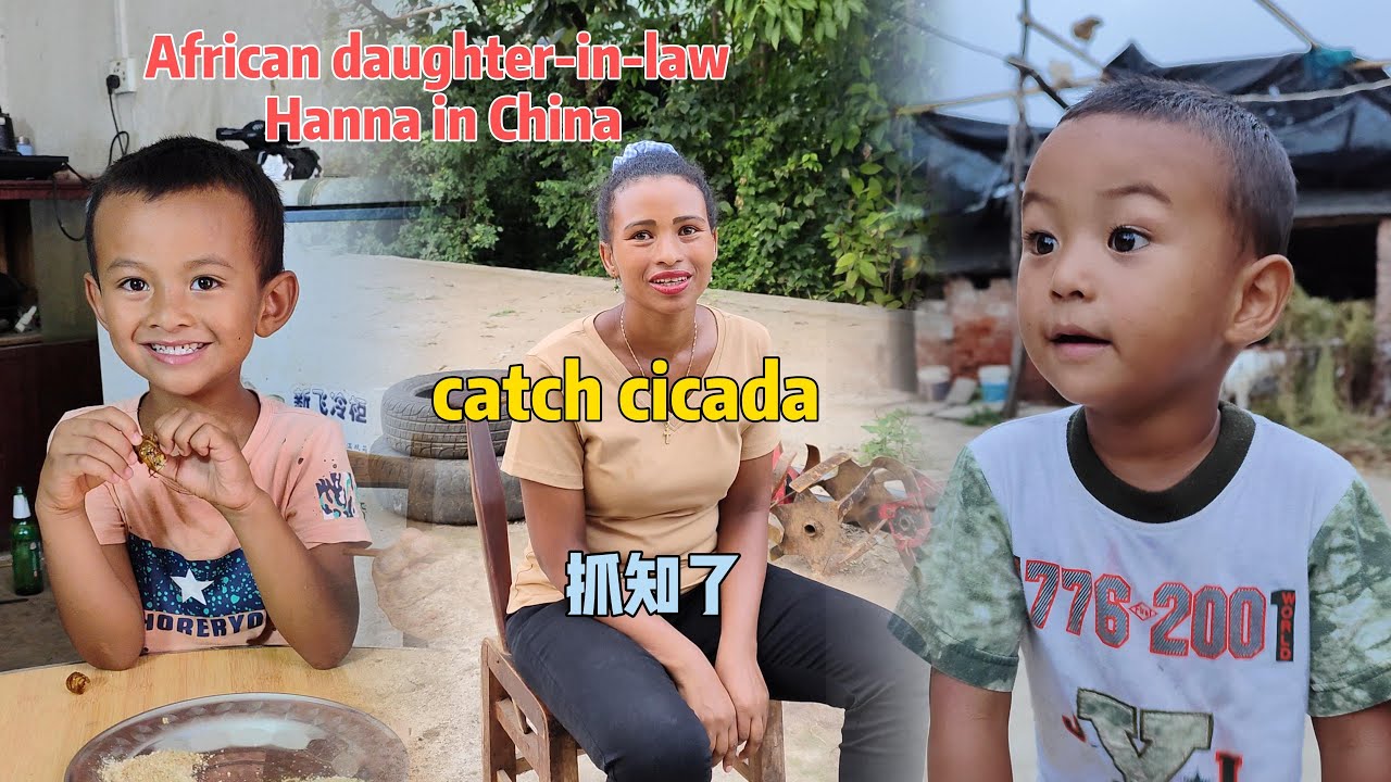 Summer in China is a good time to catch cicadas. Young children love ...