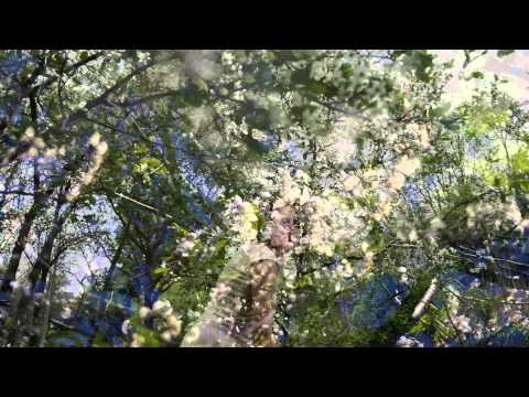 ЛУКЕРЬЯ Кошелева ОЙ У ЛЕСИ НА ЮРЕСИ Lukerya Kocheleva