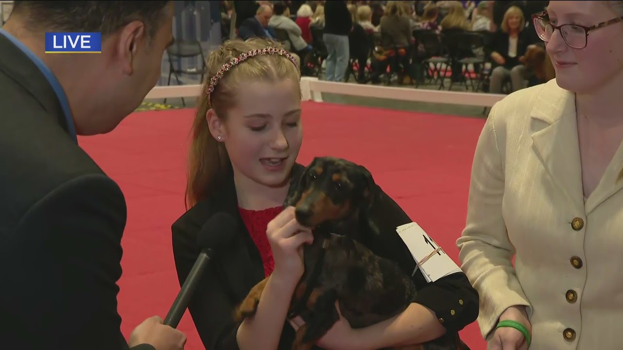 Meet some winners, and check out an art competition, at the Great ...