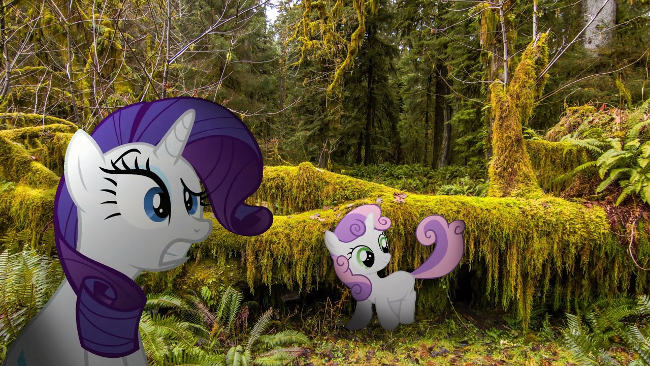 4K Atmosphere forest MLP | Атмосферный Лес MLP (Real Life) - YouTube