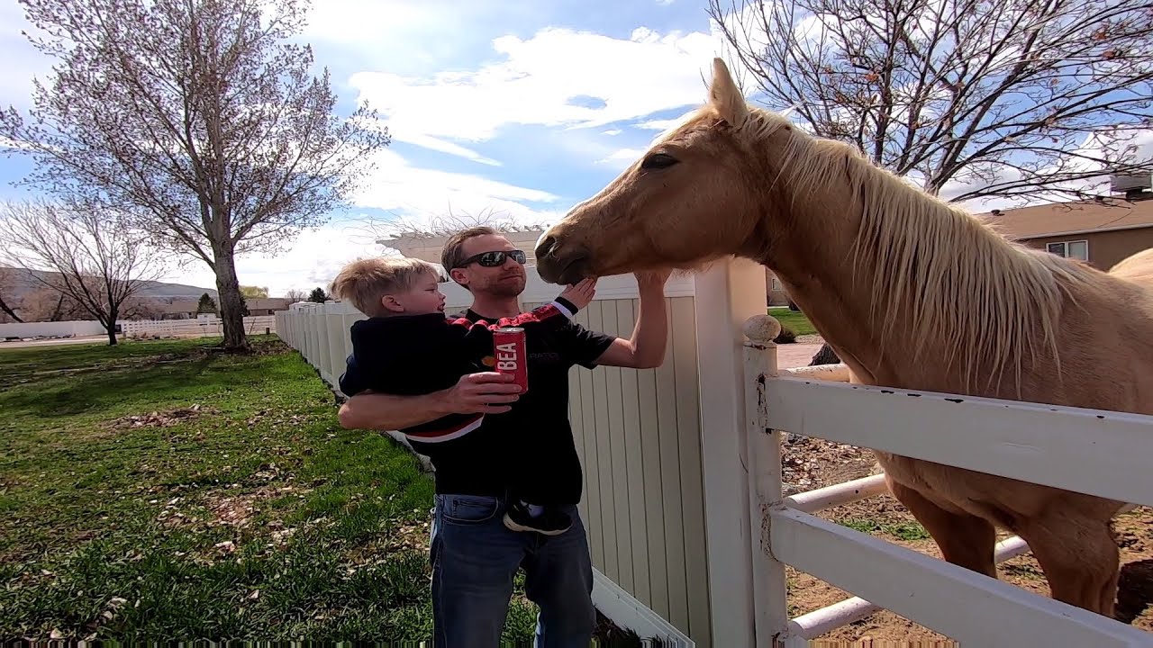 Ultimate BEA Fan - YouTube