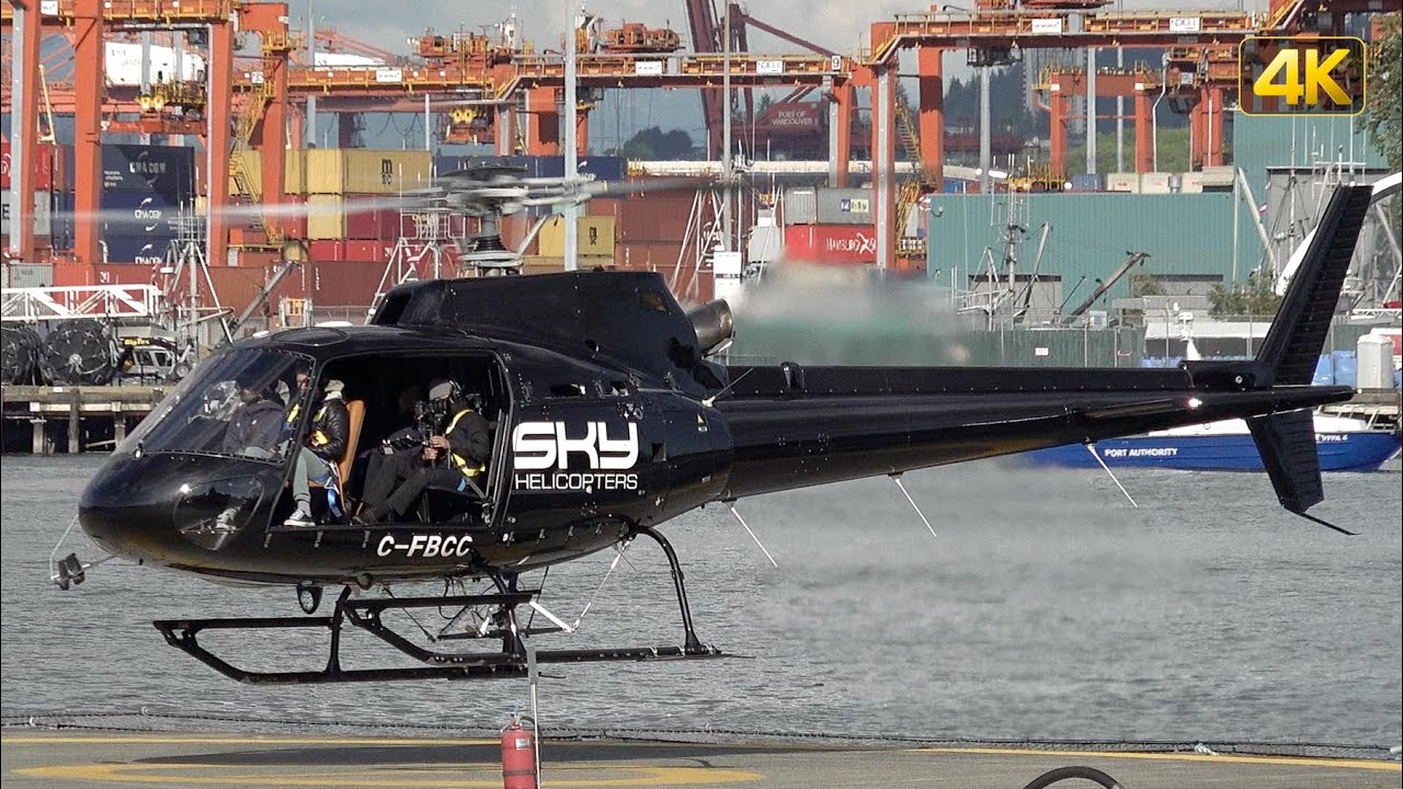 ぬいぐるみ CBVNHFGの通販 シゲユキ 's shop｜ラクマ by ヤマト