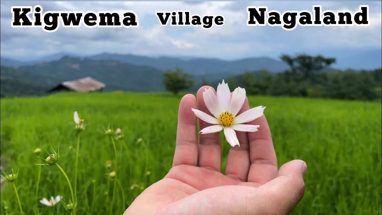 #Vekuto Hindi Vlog 😂 off-road biking 🏍 Kigwema Village - YouTube