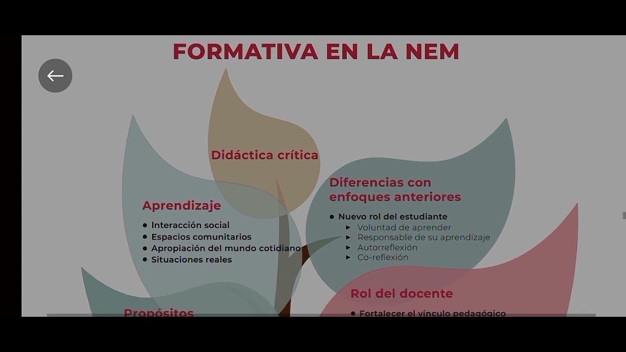 La Evaluación Formativa en la NEM | Anexo 2 | CTE 3 - YouTube
