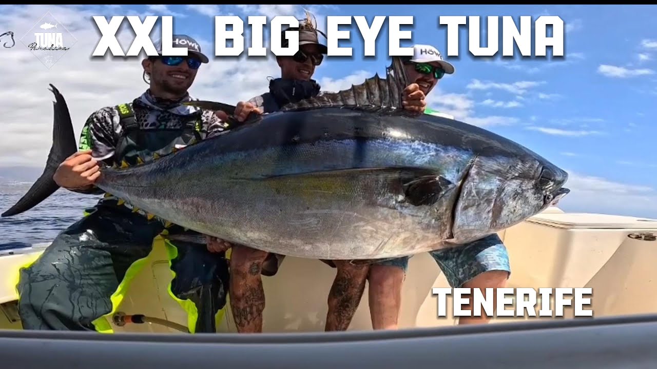 XXL Big Eye Tuna on Jigging Gear and Livebait. Mission Accomplished! 4K ...