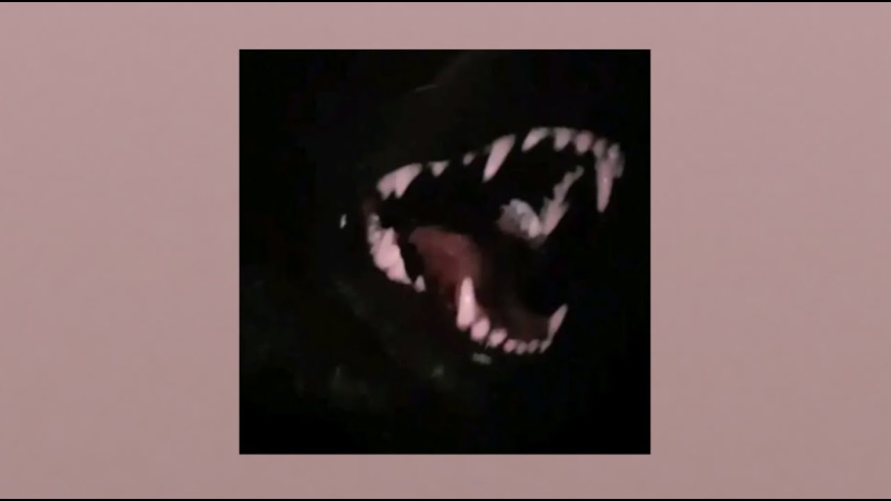 Fangs Bared; The Wolf Doesn’t Beg | Angry Playlist - YouTube