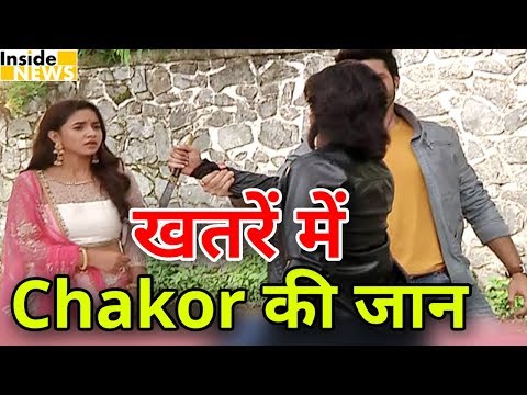 Chakor पर आन पड़ी है मुसीबत, अब क्या करेगी बिचाई | Udaan