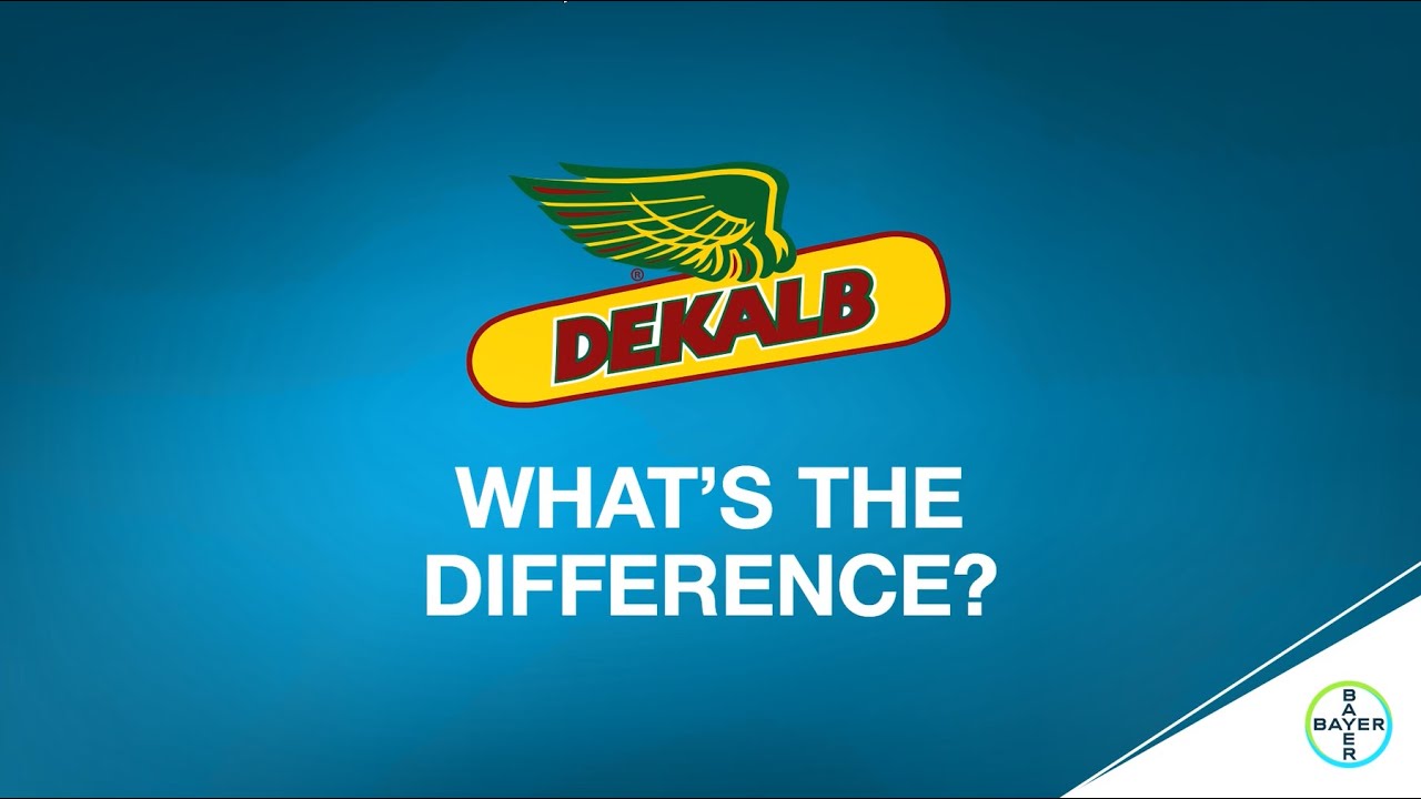 The DEKALB Difference - YouTube
