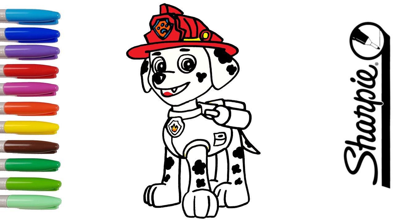 How to draw Marshall from PAW Patrol easy for your baby. Coloring with ...