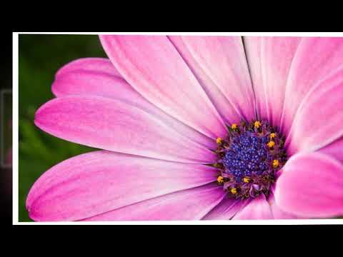Hayrettin GÜNAYDIN - Candan İleri