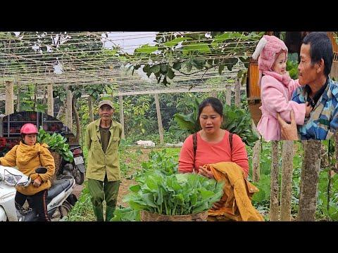 Büyükbabanın San San'a Özel Bakımı: Aile Sevgisiyle Çevrili Büyümek / LY PHUC HA