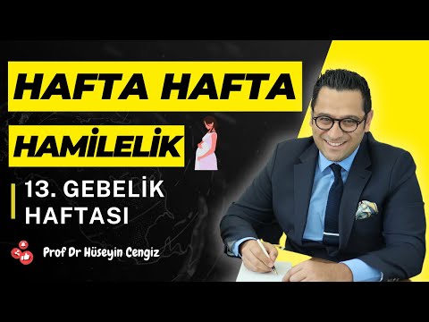 13 HAFTA GEBELİK (hafta hafta gebelik, gebeliğin 13.haftasında hem bebekte hem annede neler oluyor?)