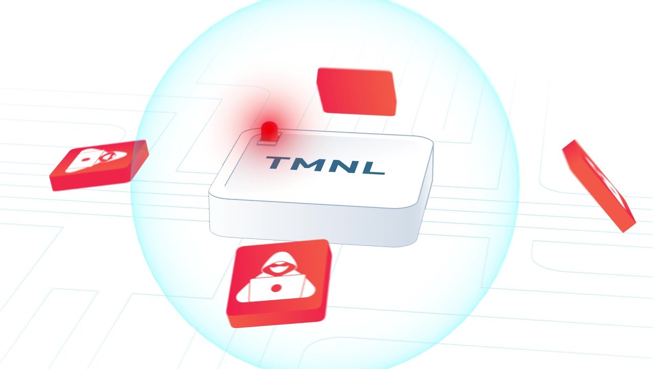 TMNL - Veilige Data - YouTube