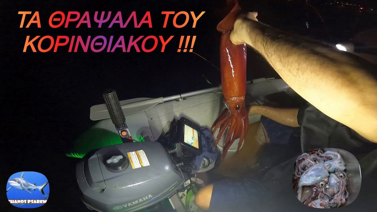 ΨΑΡΕΜΑ ΓΙΑ ΘΡΑΨΑΛΑ ΣΤΟΝ ΚΟΡΙΝΘΙΑΚΟ 🦑- ΜΑΙΟΣ 2024 !!!!🦑🦑 - YouTube