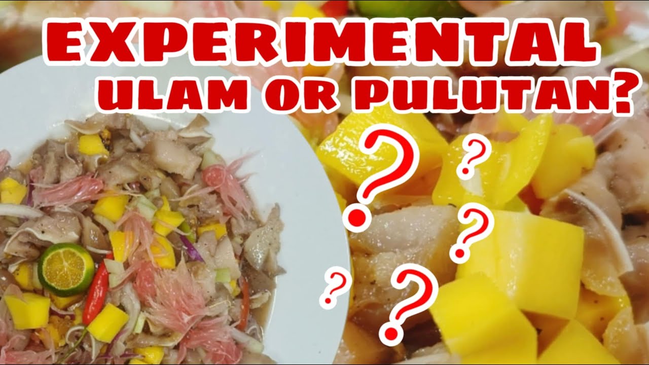 EXPERIMENTAL DISH - YouTube