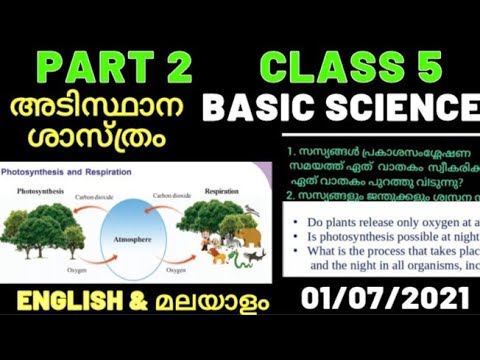 part 2 std 5 basic science worksheet / know the plant world ...