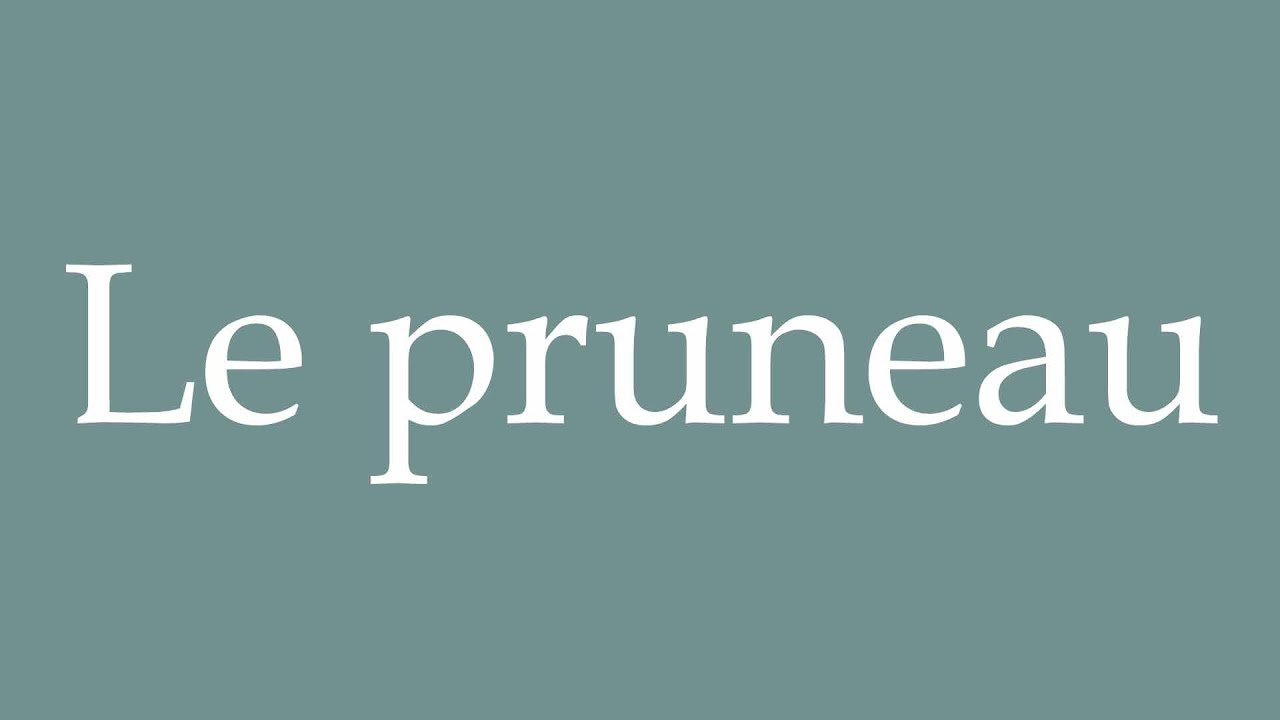 Prune Logo Docker 1.13 – What's New Including Docker Prune Features