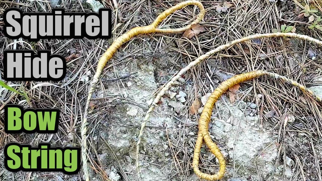 Making a Squirrel Raw Hide Bow String ~ Primitive ~ Survival - YouTube