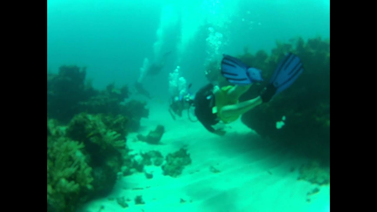 Scuba 2nd Dive 19Jul13 13of17 - YouTube
