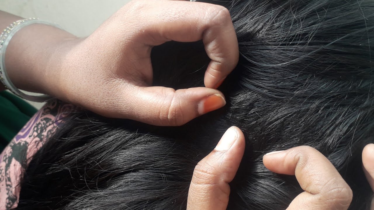 Fully heavy nits in short hair long vedio/mother hands Nitpicking in ...