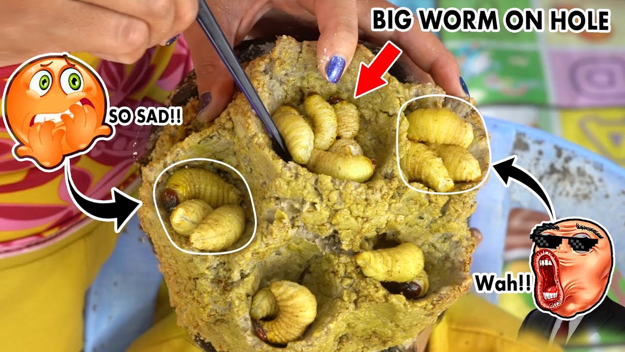 Extremely !! New Satisfying Strange Hole Worms On Poor Man's Head #525 ...