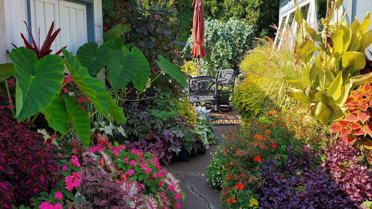 Late September Garden Tour, Patio Container Garden, Pollinator Garden ...