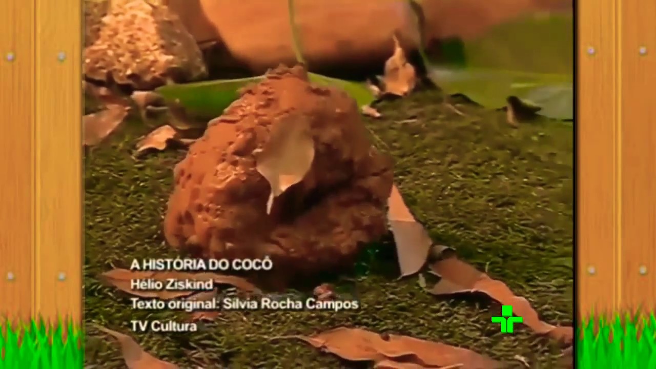 Cocoricó - A História do Cocô (HD) - YouTube