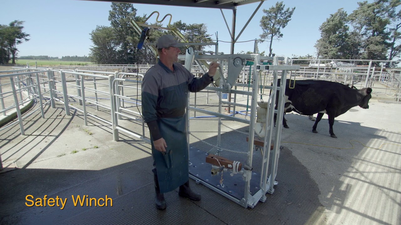 Veehof - WOPA cattle crush - YouTube