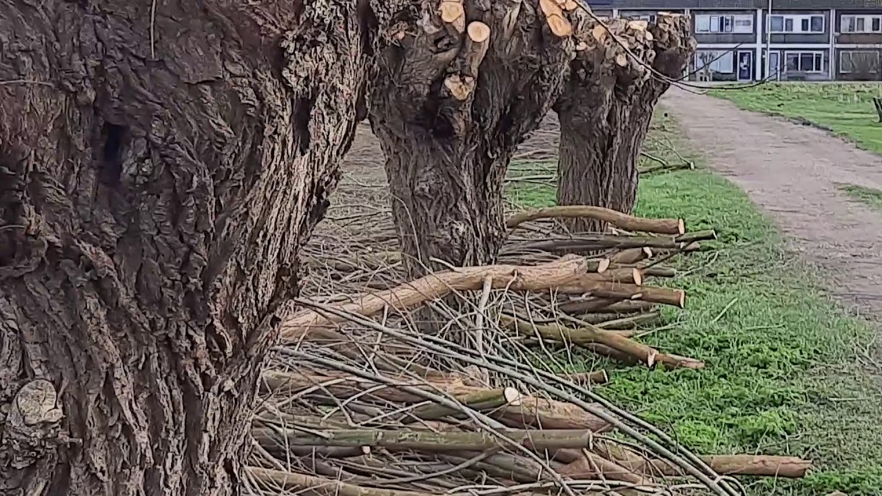 Samsung Galaxy A51: video-sample
