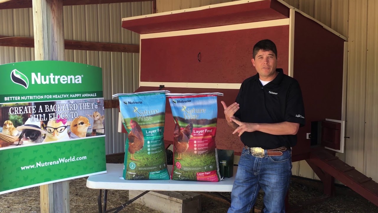 Nature Wise Layer 16% Chicken Feed - YouTube
