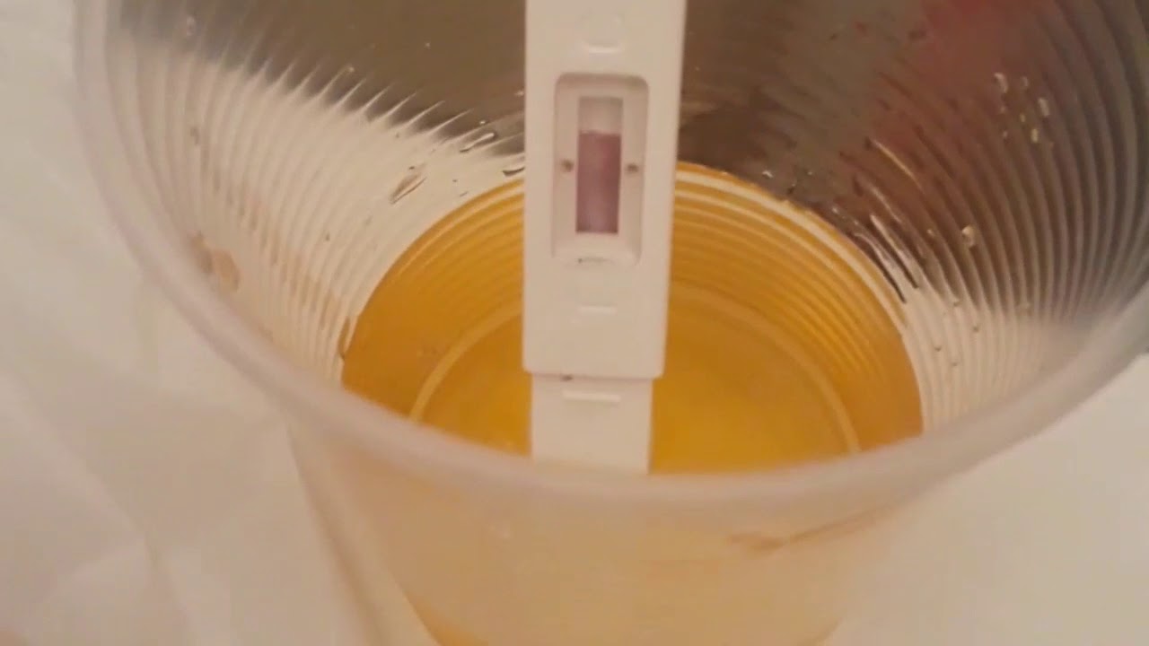 Teste de Gravidez - YouTube