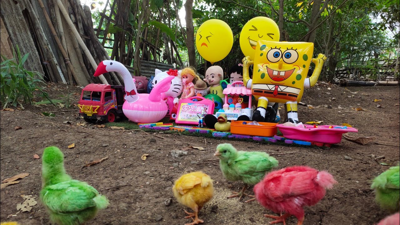 Menangkap Ayam lucu, Ayam Rainbow,Ayam warna warni, ikan hias,ikan koi ...