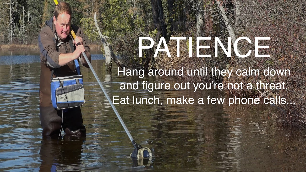 UNDERWATER FILMING - HOW TO!! BEHIND THE SCENES 4K - YouTube