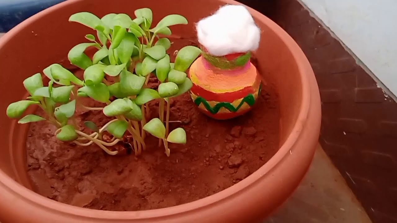 Easy way to make clay pot without wheel| handmade clay pot |How to make ...
