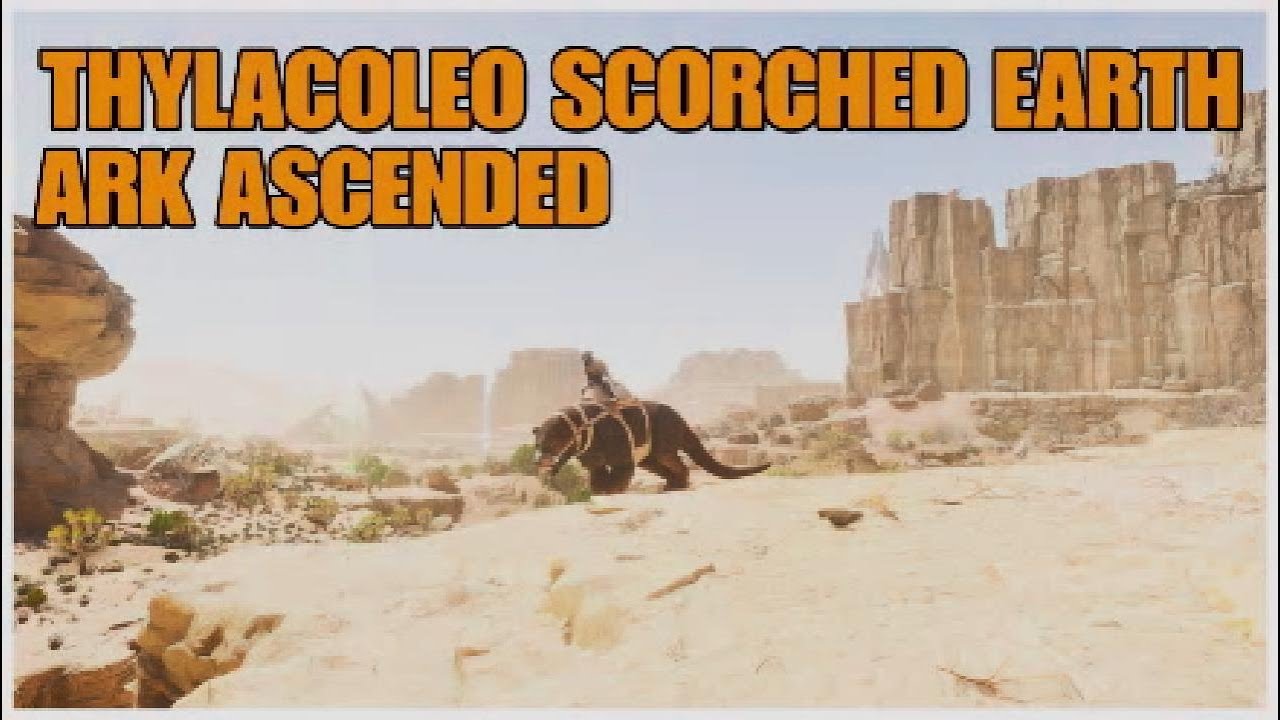 🐯 Ubicación THYLACOLEO SCORCHED EARTH ark survival ASCENDED - (y como ...