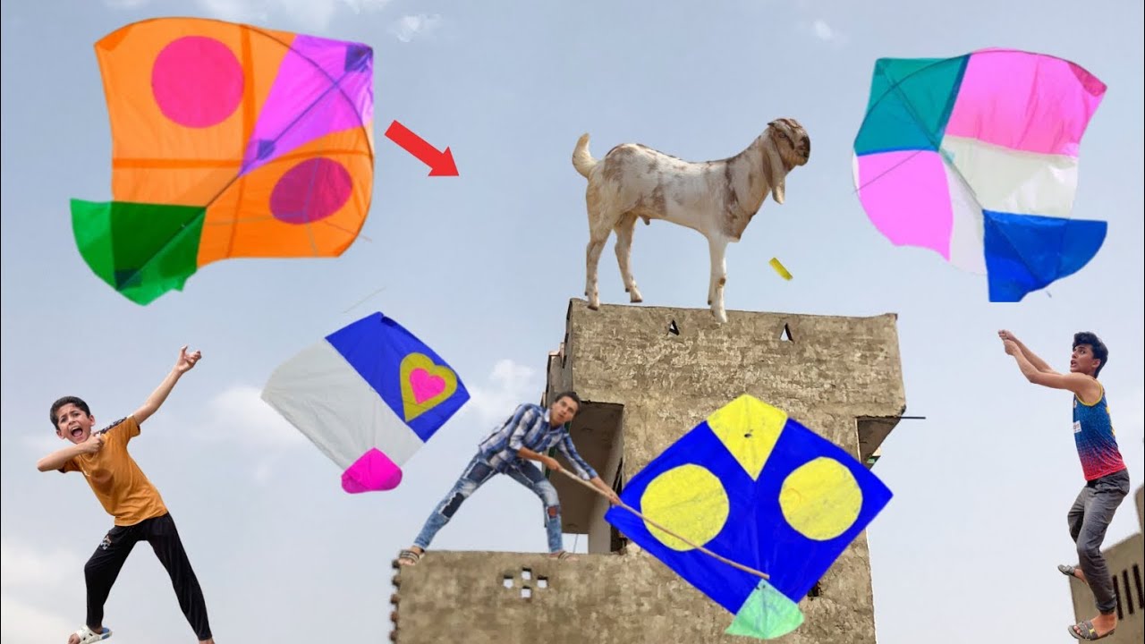 bakra kite vs billu patanbaaz new Eid pink kite - YouTube