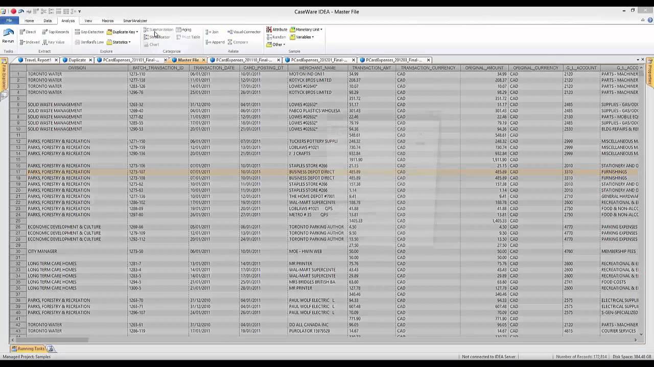 Using Data Analysis for Purchasing Card Audits - YouTube