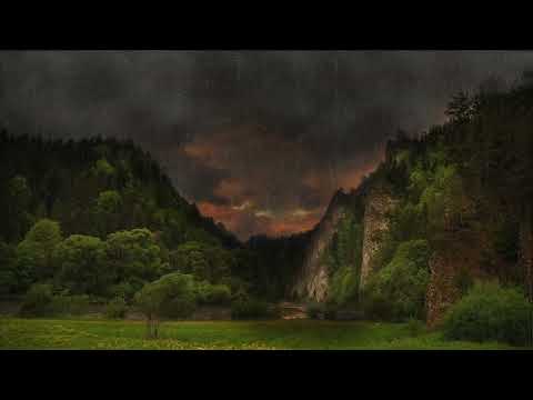 🌧️Yeşil Orman Yağmuru 4K🌧️ | 1 Saat Huzurlu Yağmur Sesleri – Stres Atma ve Rahatlama İçin🌧️
