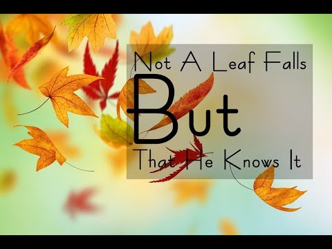 Not A Leaf Falls But That He Knows It