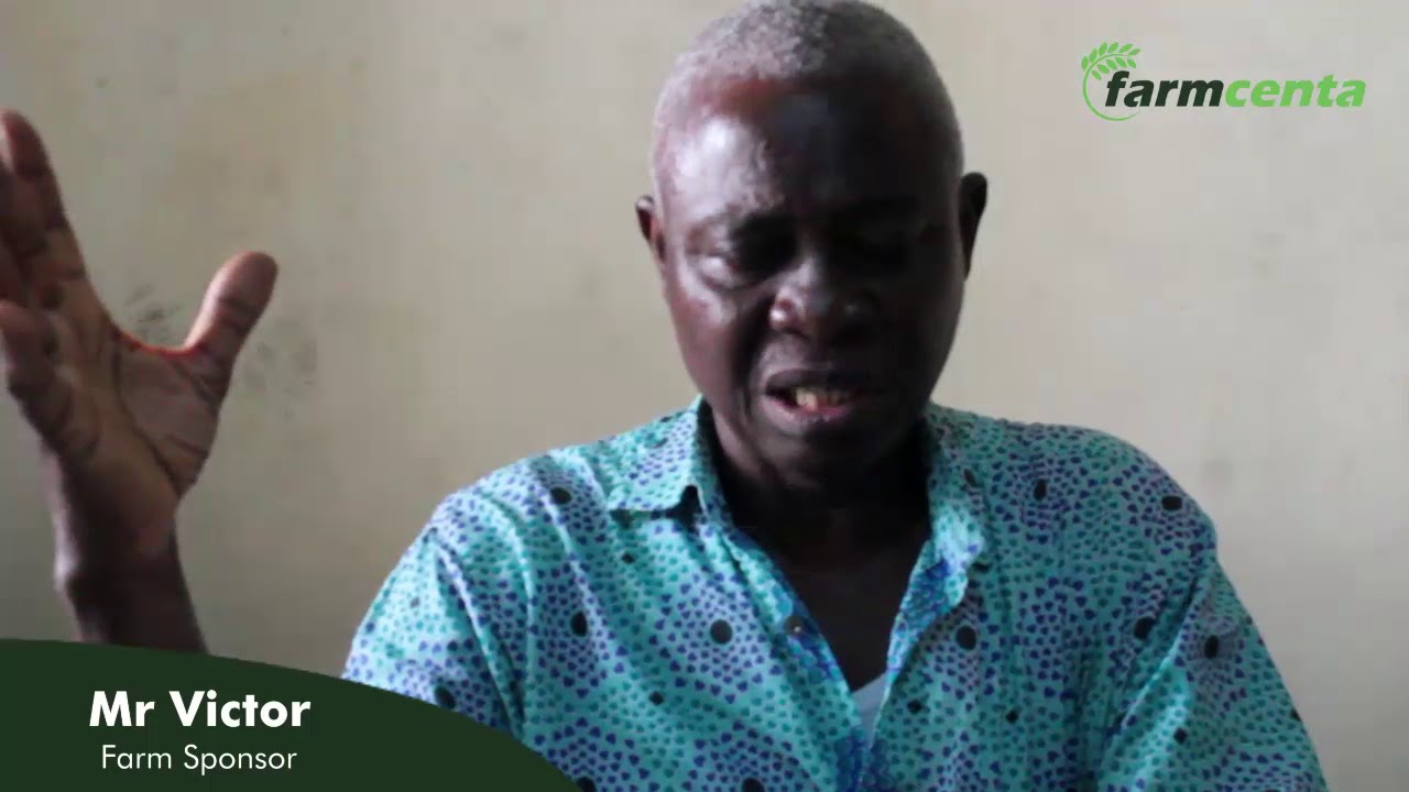 Watch Mr Victor share his story about his investment with us. - YouTube