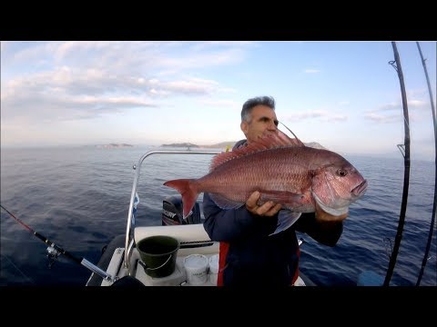 Ενα τσαουσι και μια σφυριδα - YouTube
