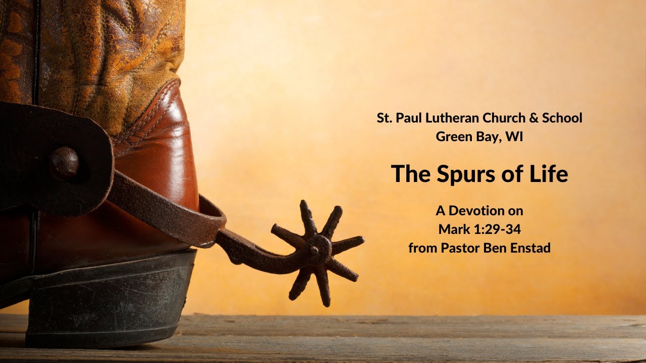 The Spurs of Life - A Devotion on Mark 1:29-34 from Pastor Ben Enstad ...