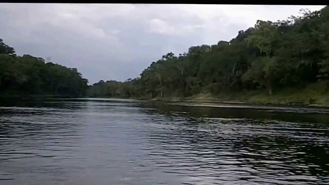 Sturgeon jumping on the Suwannee - YouTube