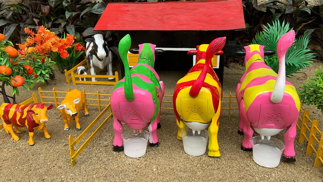Wow..!!PROSES PERA5 SUSU SAPI SIMULASI PERA5 SUSU SAPI COW MILK COW ...
