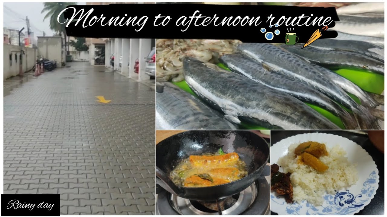 Vlog 14 || Rainyday routine 🌧 || morning to afternoon routine🌈 || fish ...