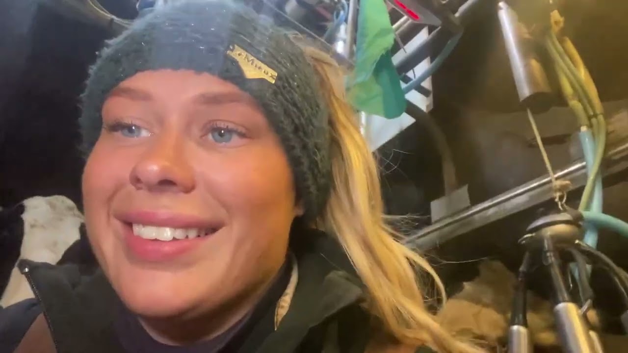 Come spend the morning with me!🐄 #farmer #dairymilk #dairyfarm #cowgirl ...